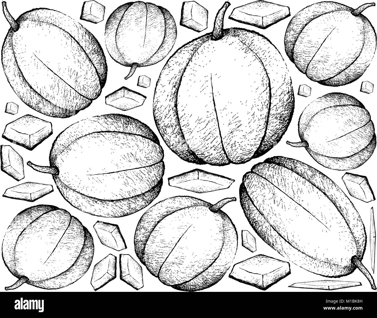 Fresh Fruit, Illustration Background of Hand Drawn Sketch of Muskmelon ...