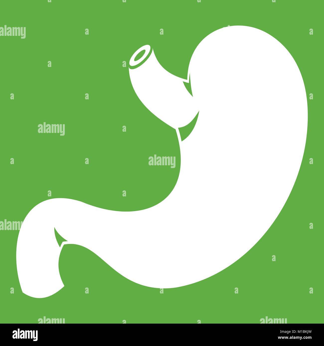 Stomach icon green Stock Vector Image & Art - Alamy