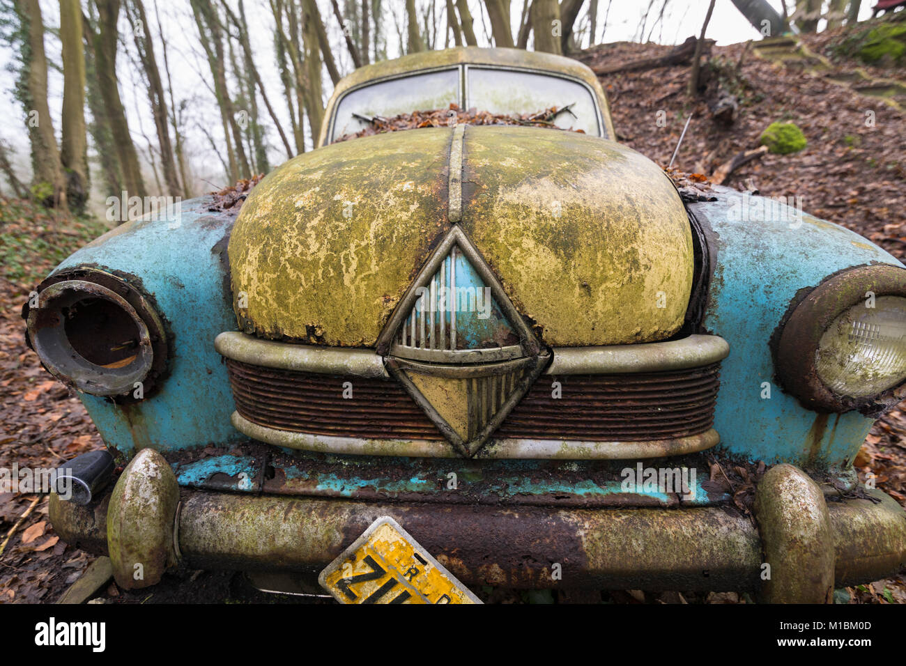 Classic decaying vintage car wreck in a forest in autumn Stock Photo - Alamy