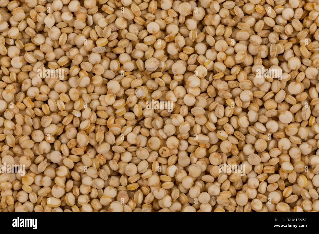 Organic Quinoa (Chenopodium quinoa) seeds Macro close up background ...