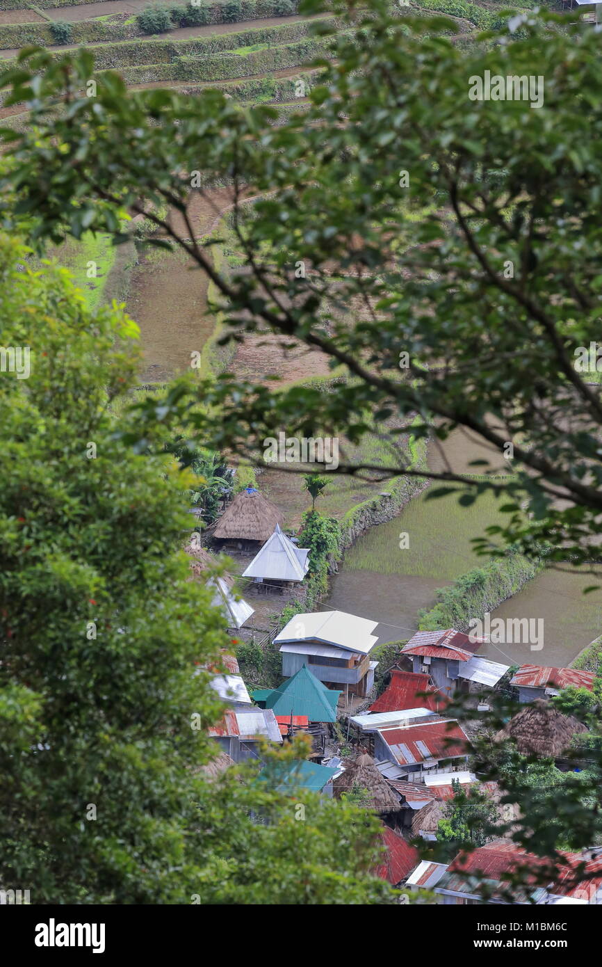 The Batad village cluster-part of the Rice Terraces of the Philippine ...