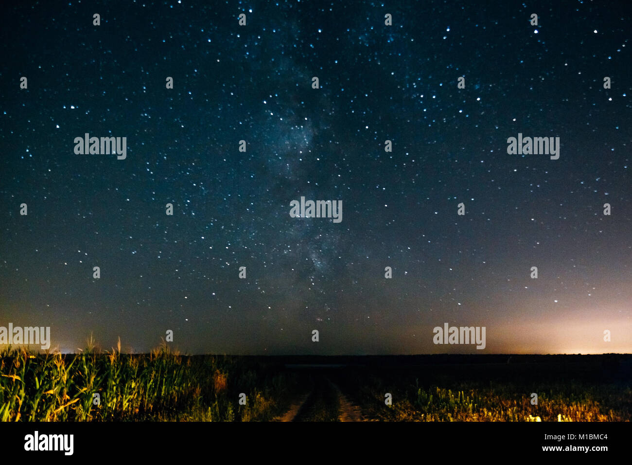 Starry night sky with the Milky Way over the field Stock Photo - Alamy