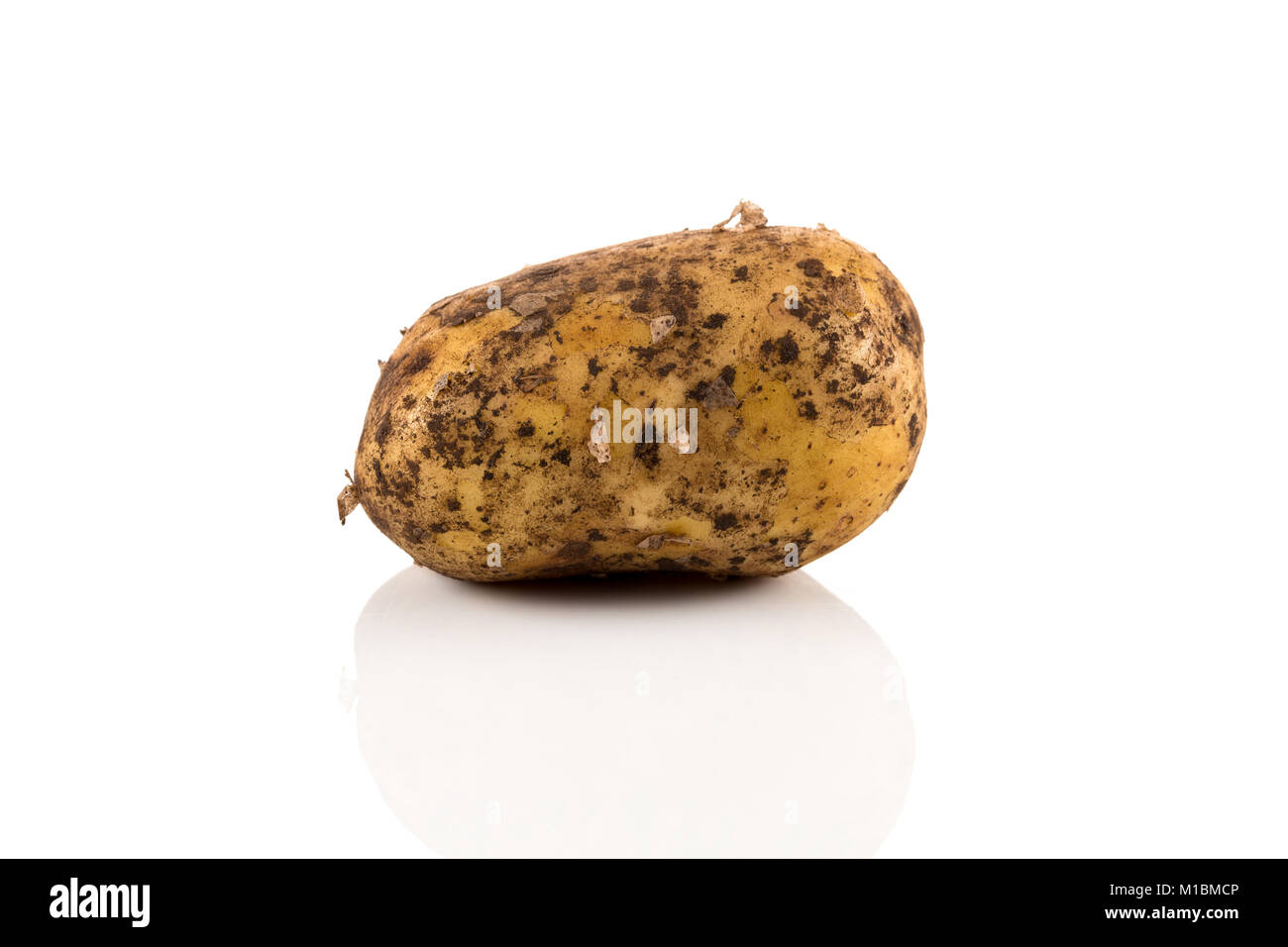 Fresh dirty potato isolated on a white background Stock Photo - Alamy