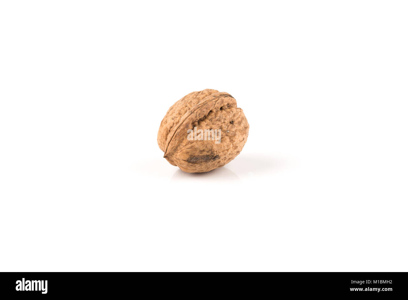 Walnut nut closeup isolated on a white background Stock Photo - Alamy