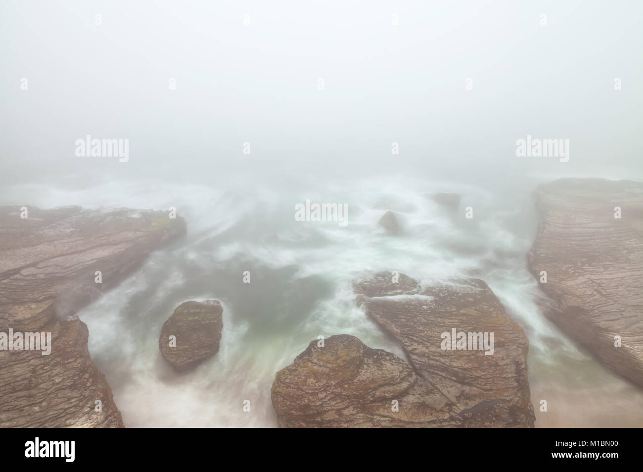 Thick fog covered the Santa Cruz shoreline on a spring morning, and the ...