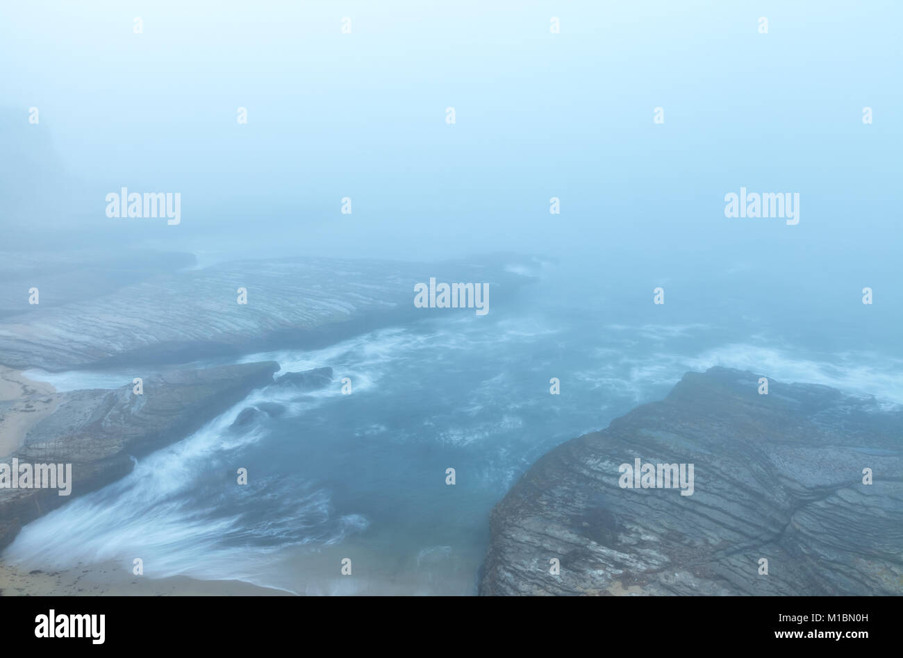 Thick fog covered the Santa Cruz shoreline on a spring morning, and the ...