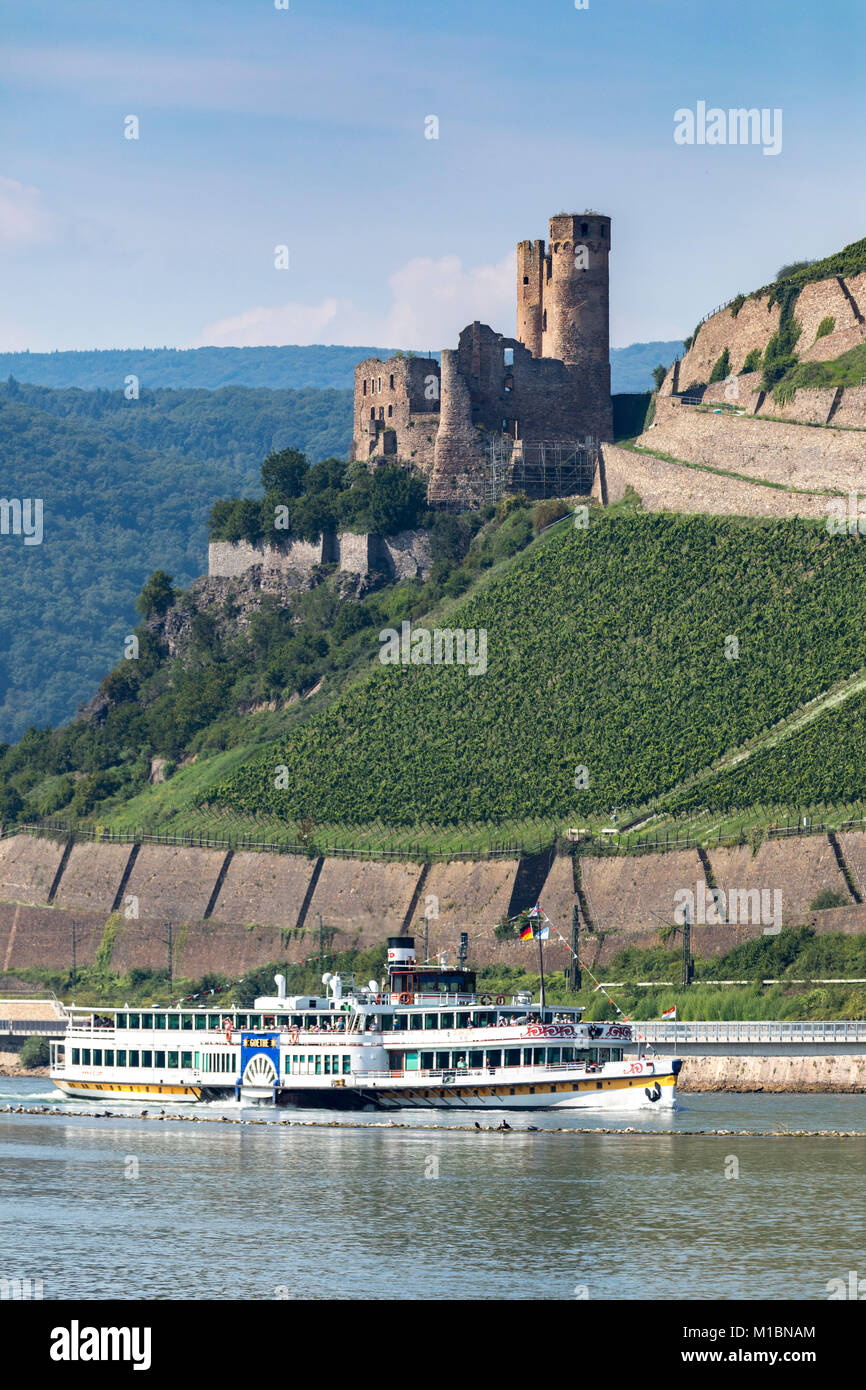 Ruin of Ehrenfels Castle in the Upper Middle Rhine Valley, vineyards ...