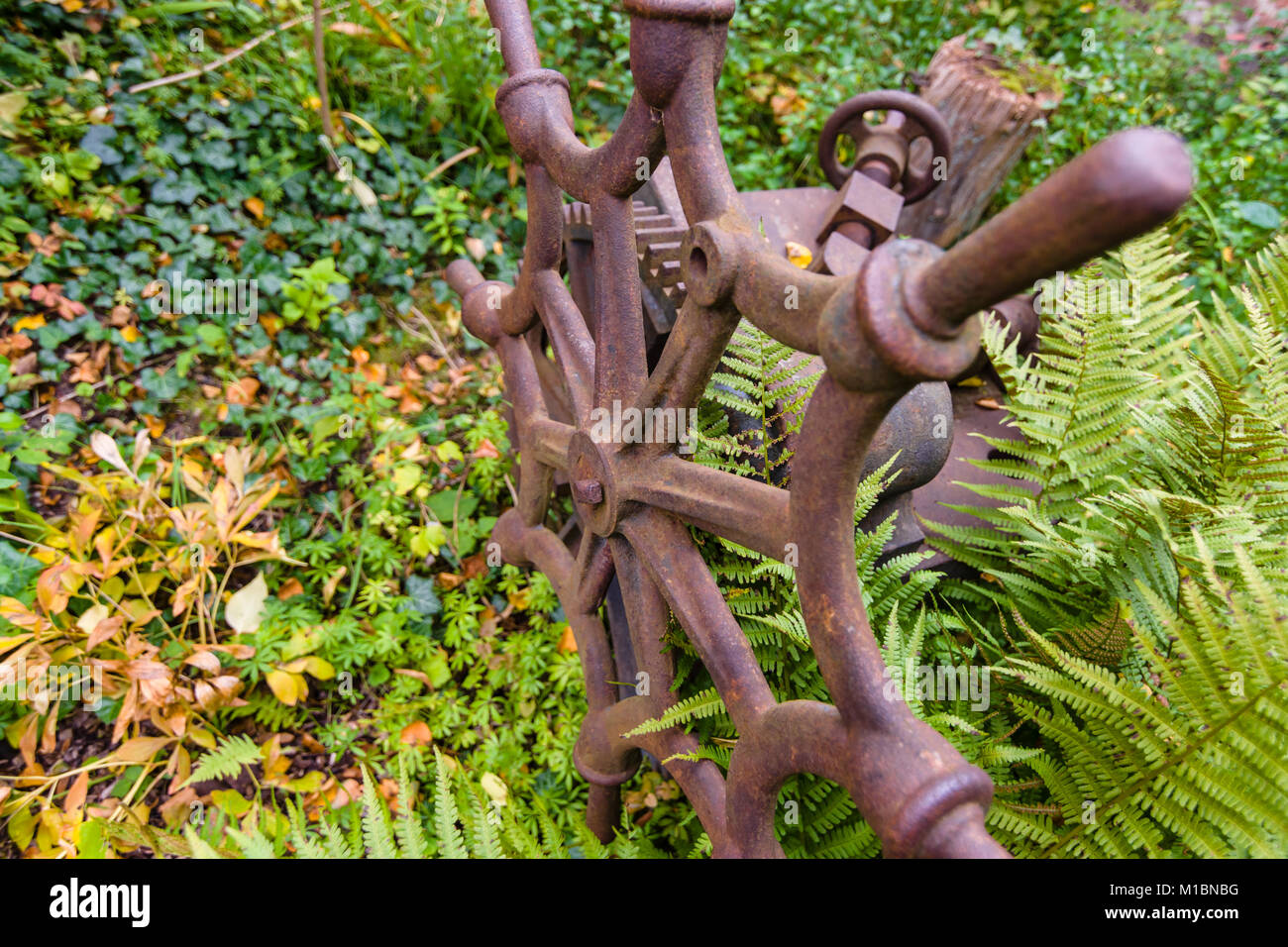 Fragment of the hand-held ancient press overgrown with grass and bushes ...