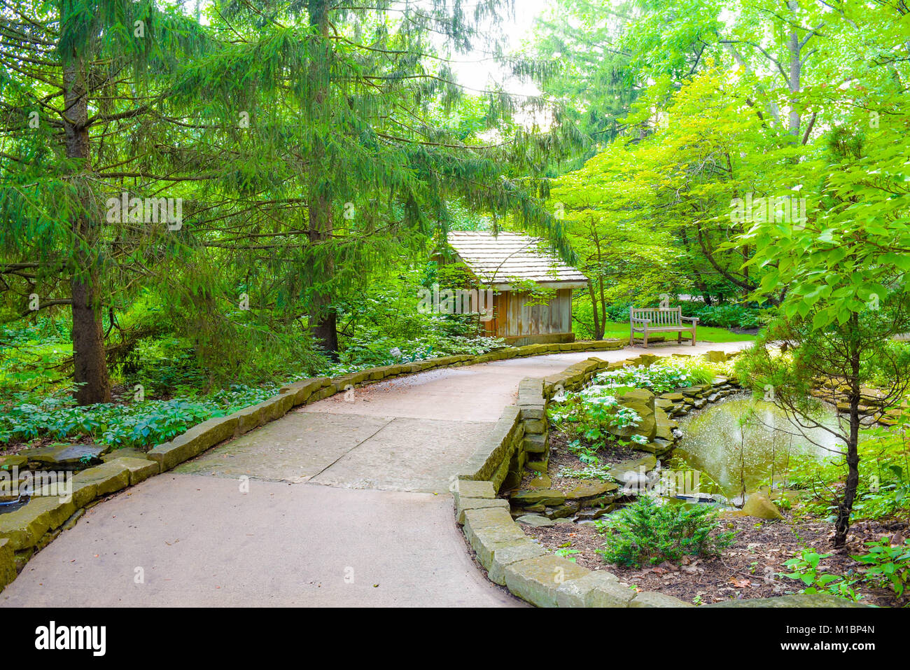 A walking trail through nature passing by a rustic shed. Lush green ...