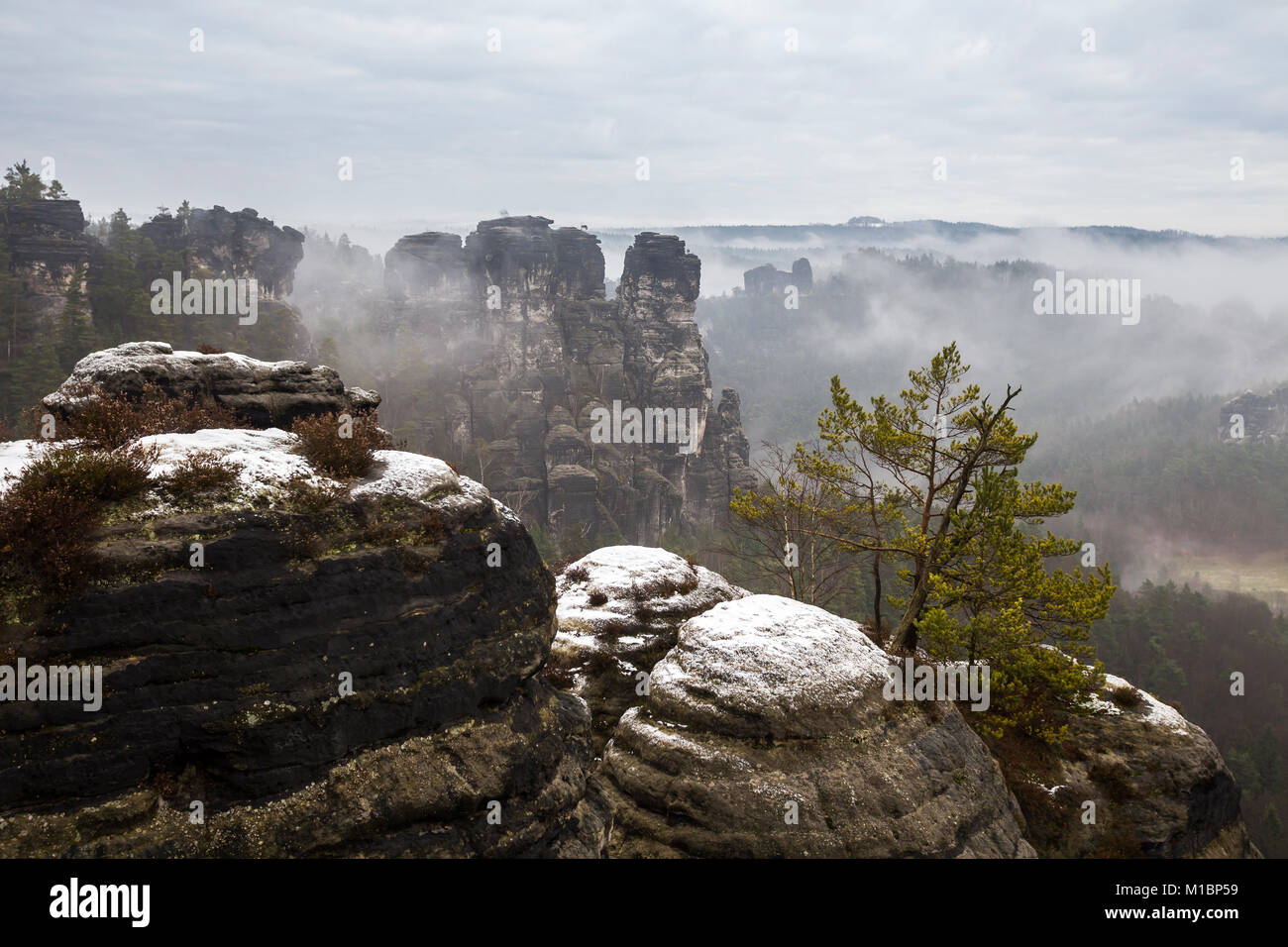 saxonian swiss in the winter Stock Photo - Alamy