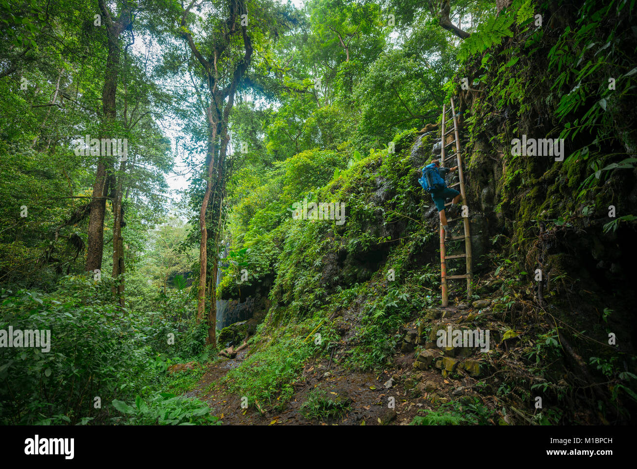 Jawa hi-res stock photography and images - Alamy