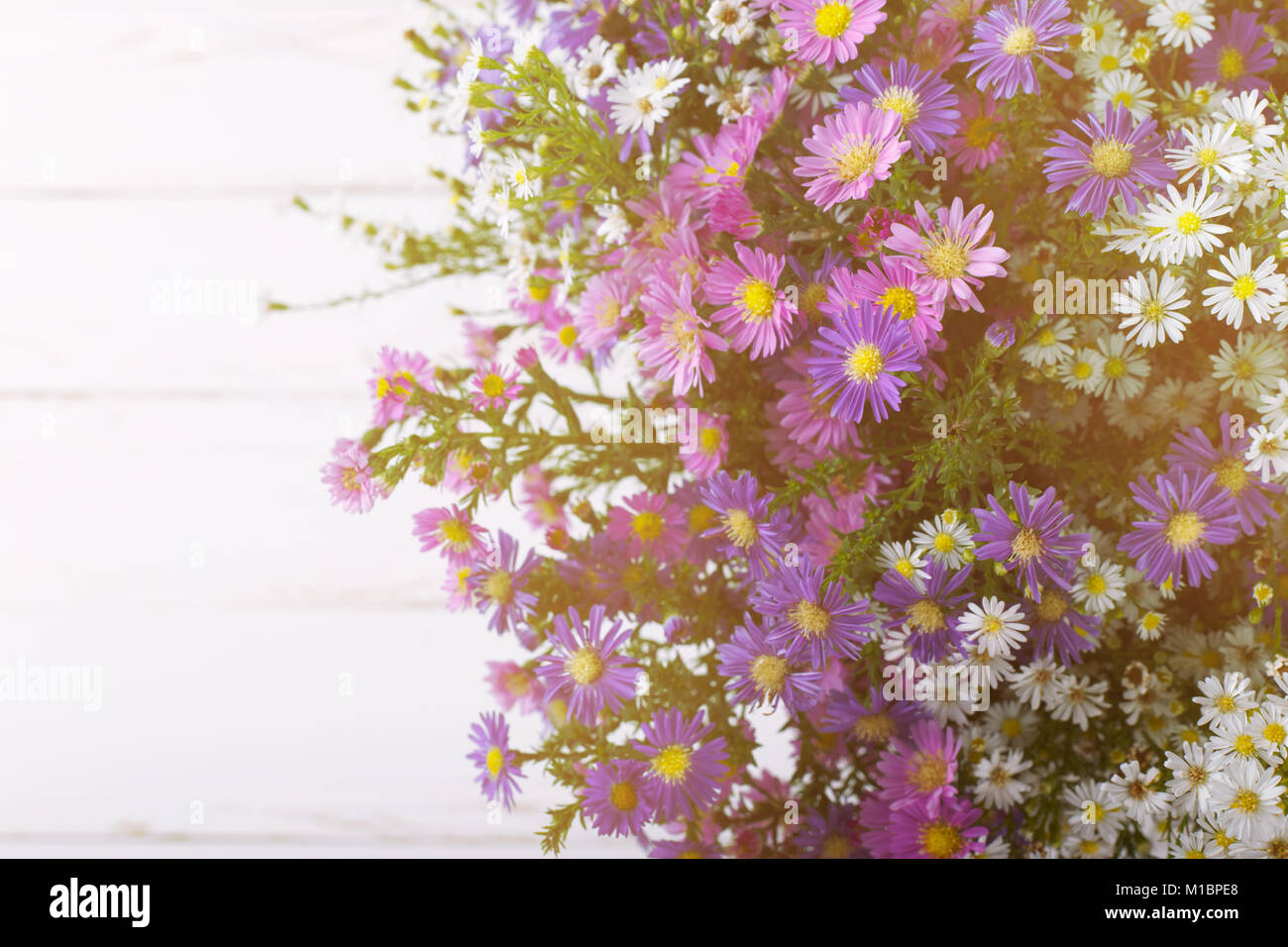 Bouquet of colorful aster over white wooden background , spring summer ...