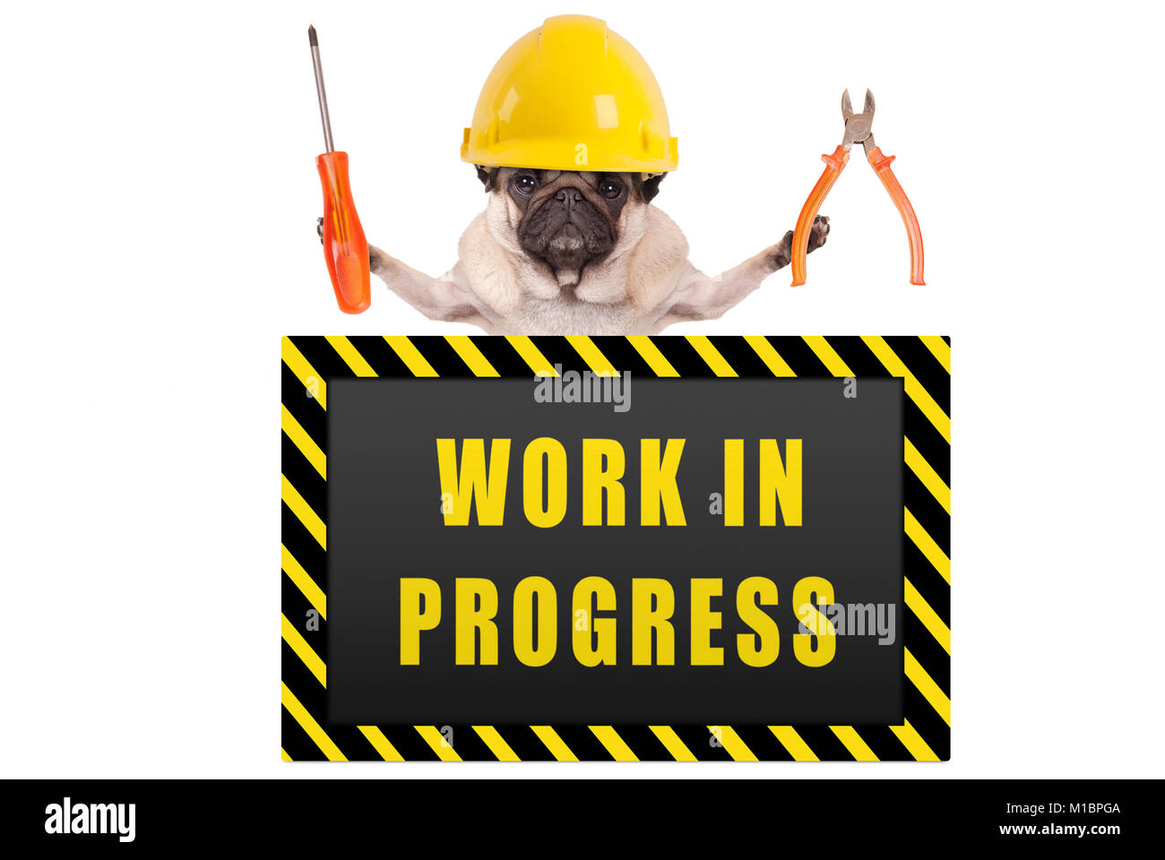 Dog under construction hi-res stock photography and images - Alamy