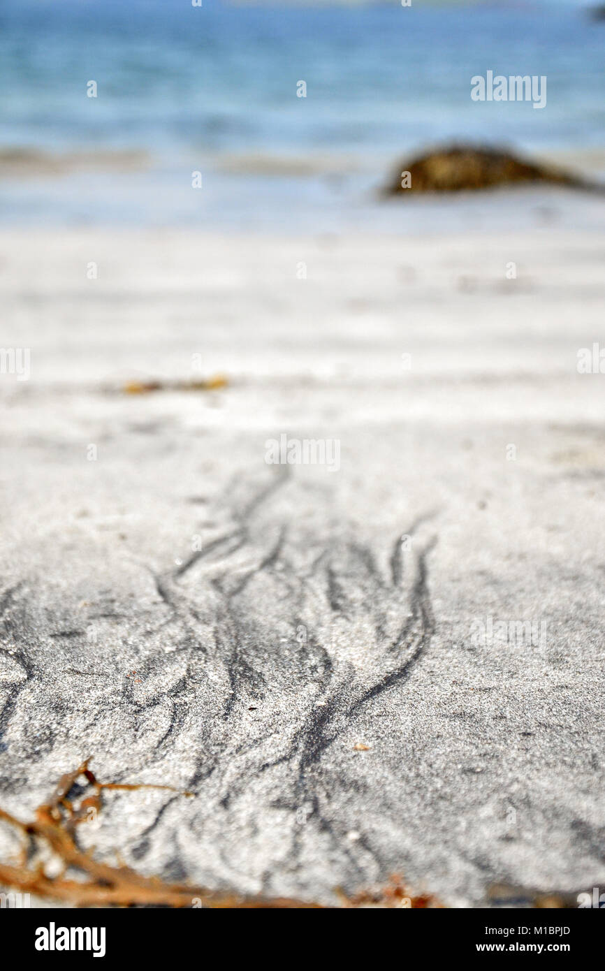 Patterns on Sand - Beach Stock Photo - Alamy