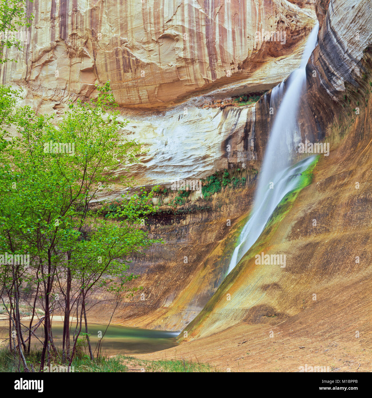 Calf Creek Stock Photos & Calf Creek Stock Images - Alamy