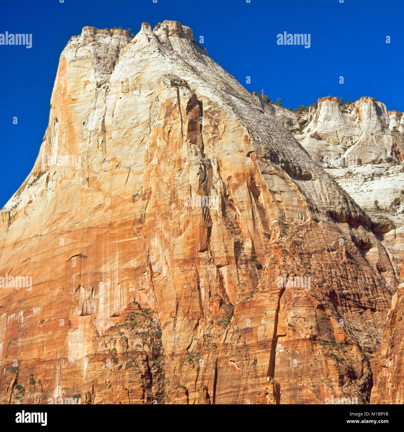 west tower of the three patriarchs in zion national park, utah Stock ...