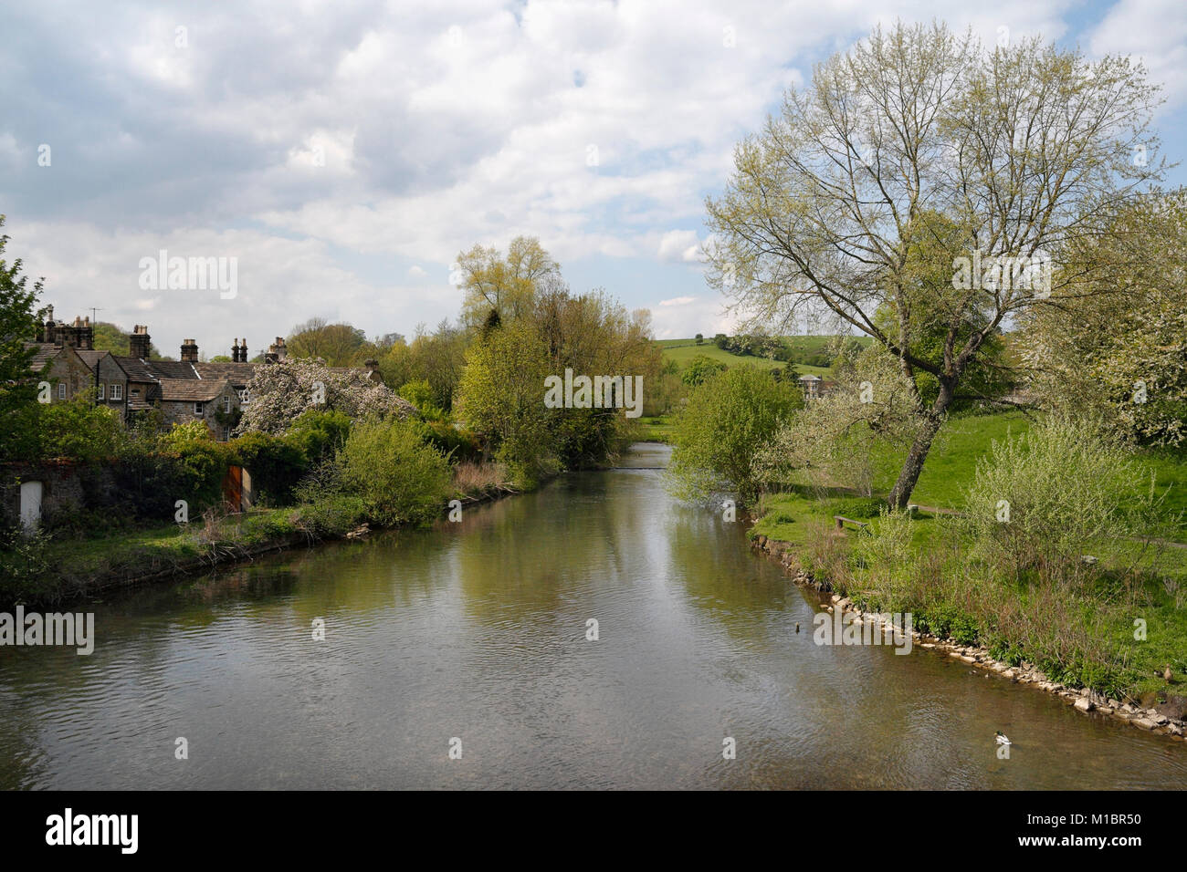 River Wye in Bakewell, Derbyshire, England, UK, English countryside ...