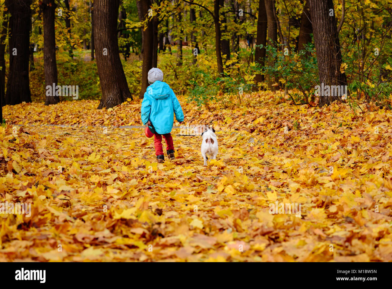 Two friends walking away from camera at fall (autumn) park Stock Photo ...