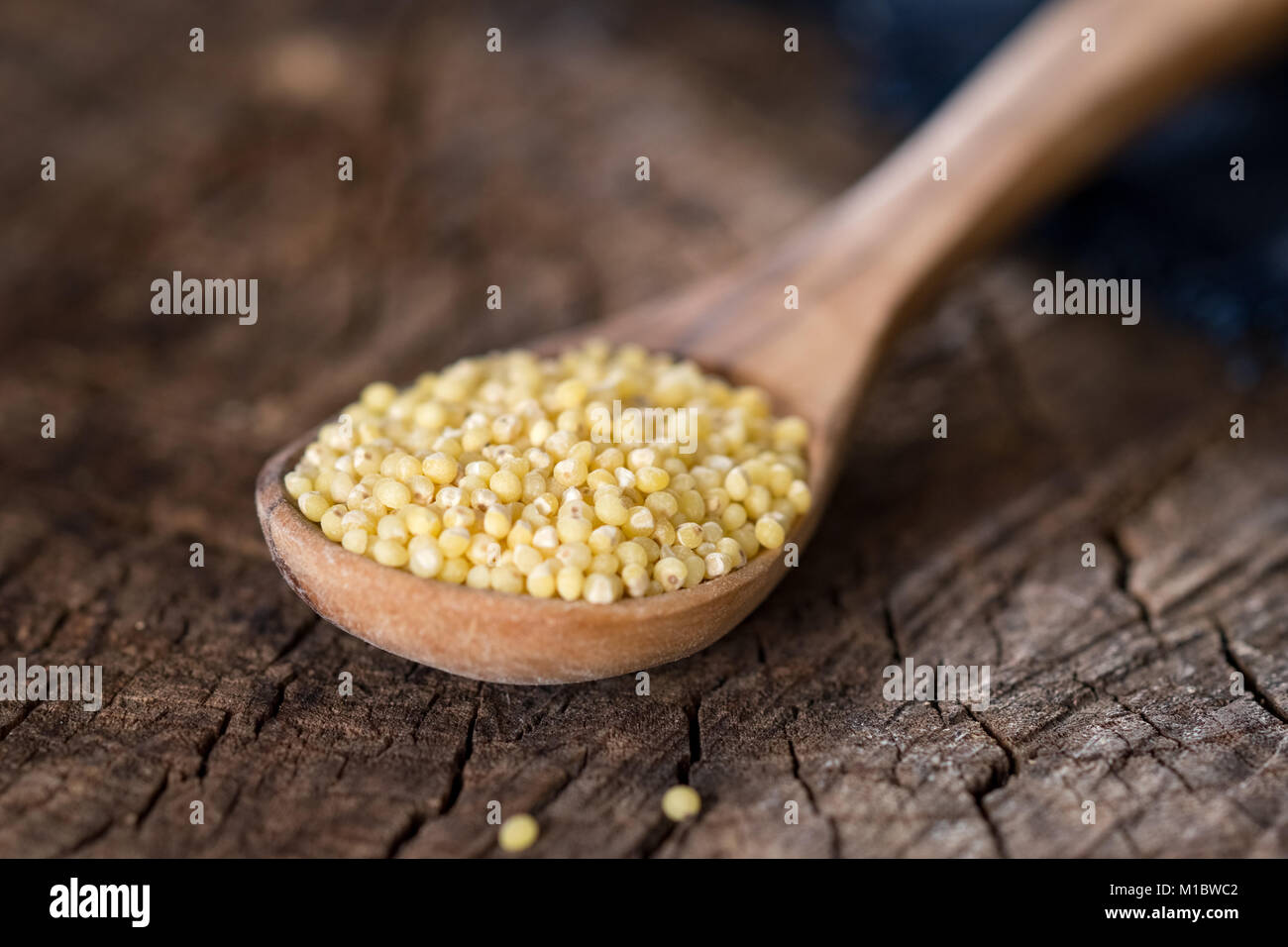 Whole millet grains on hi-res stock photography and images - Alamy
