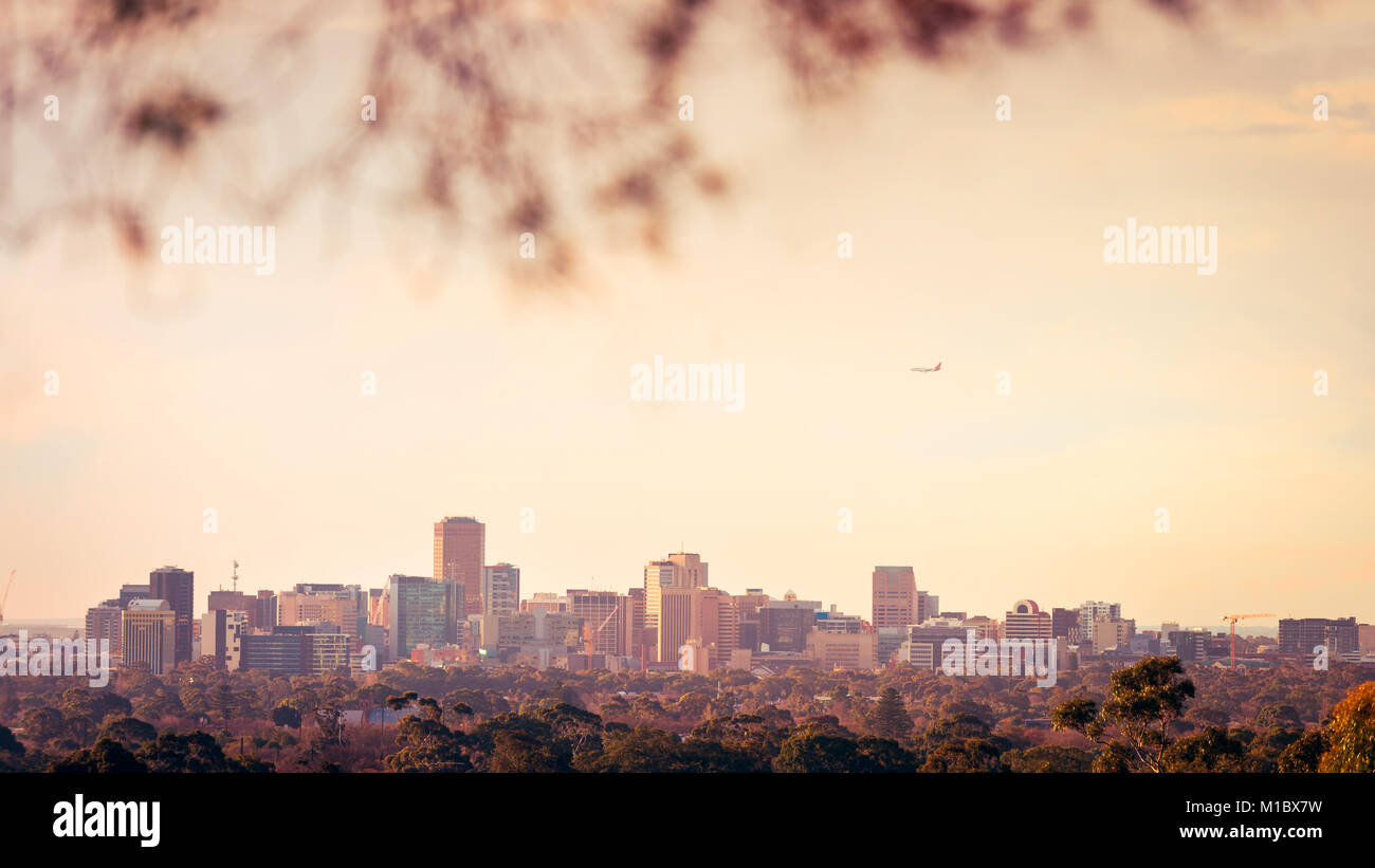 Adelaide city skyline at sunset viewed from hills from under trees ...