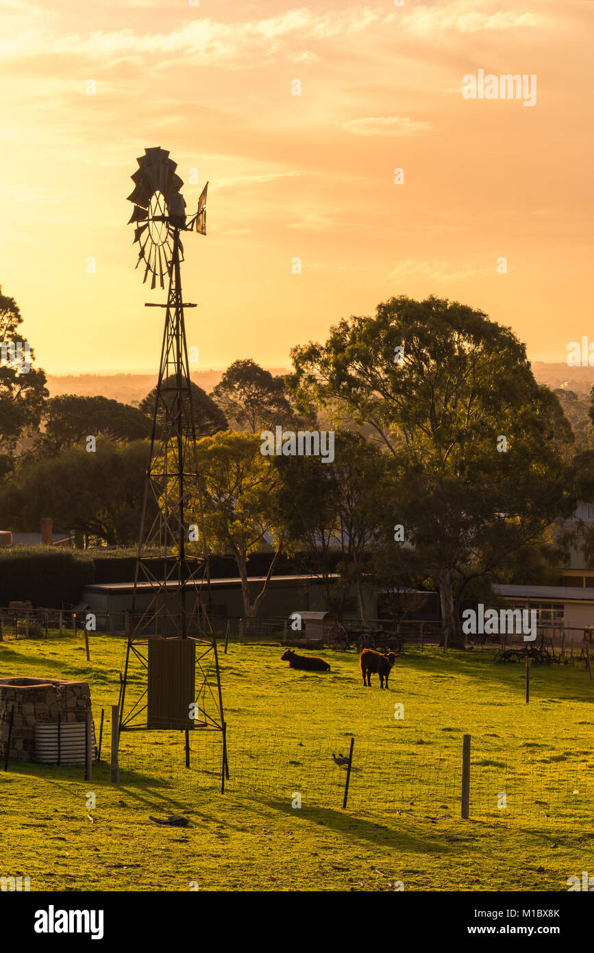 Australian landscape farm sunset hi-res stock photography and images ...
