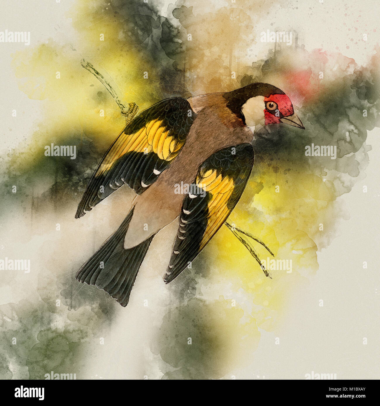 Digitally enhanced image of a European goldfinch. 19th century Artwork ...