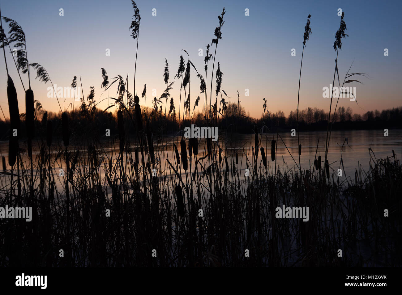 Morning shadows hi-res stock photography and images - Alamy