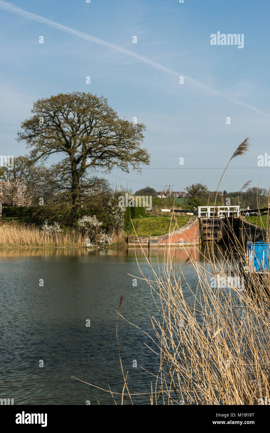 Lock gate No. 26 on the Kennet and Avon Canal, part of the Devizes ...
