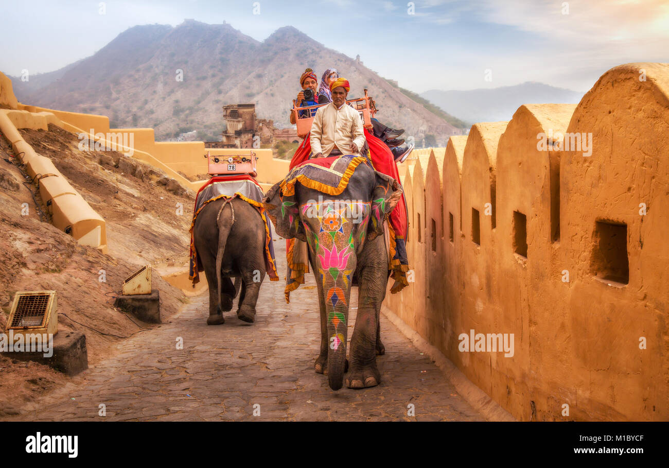 Tourists enjoy decorated Indian elephants ride at Amer Fort (Amber Fort ...