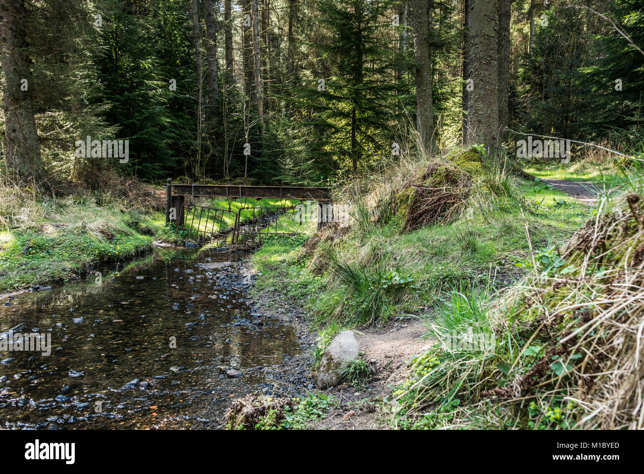 Rusty gates hung on chains from an RSJ I-beam over a stream flowing ...