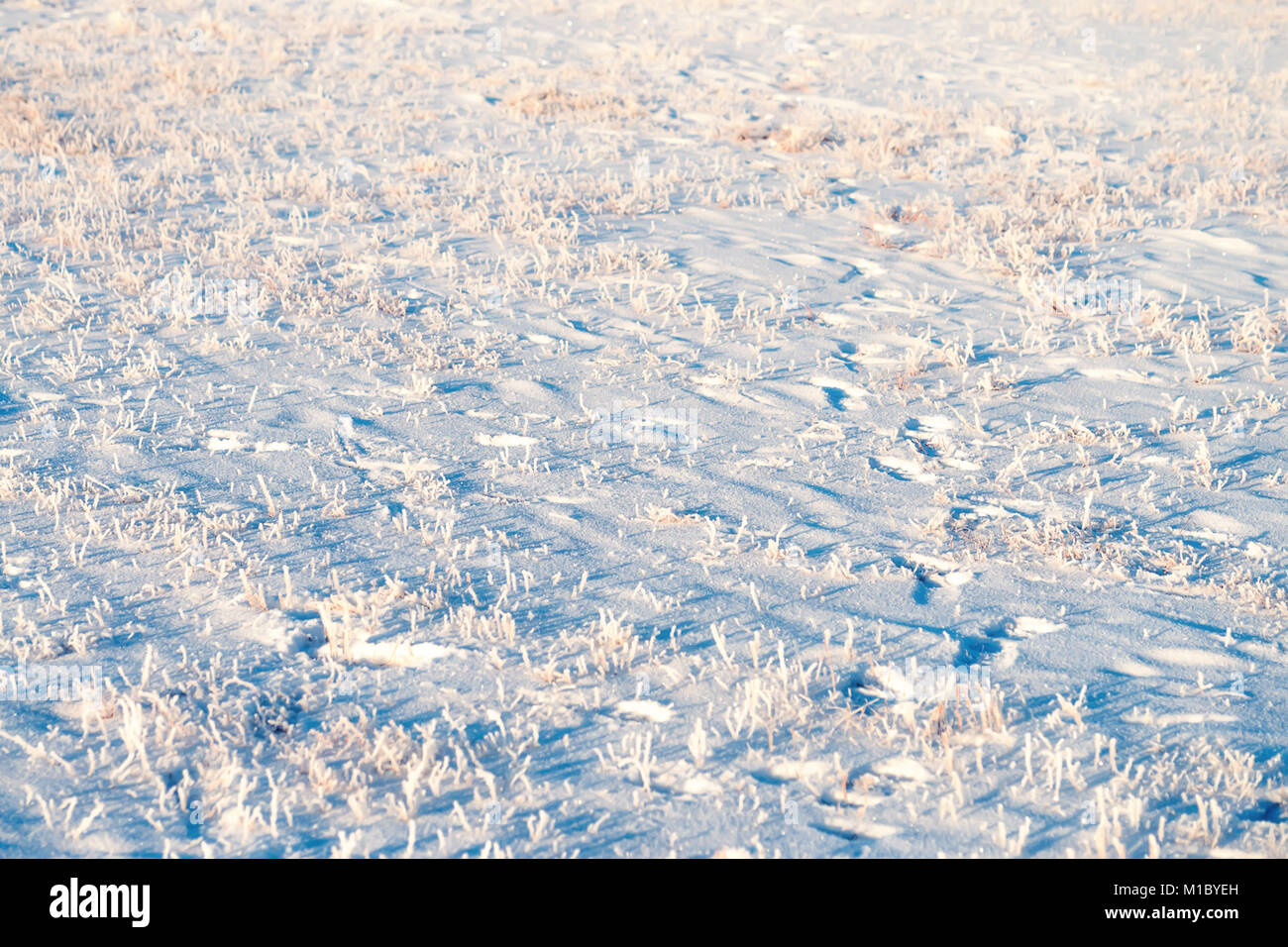 Soccer Football field grass in winter with snow Stop sport game ...