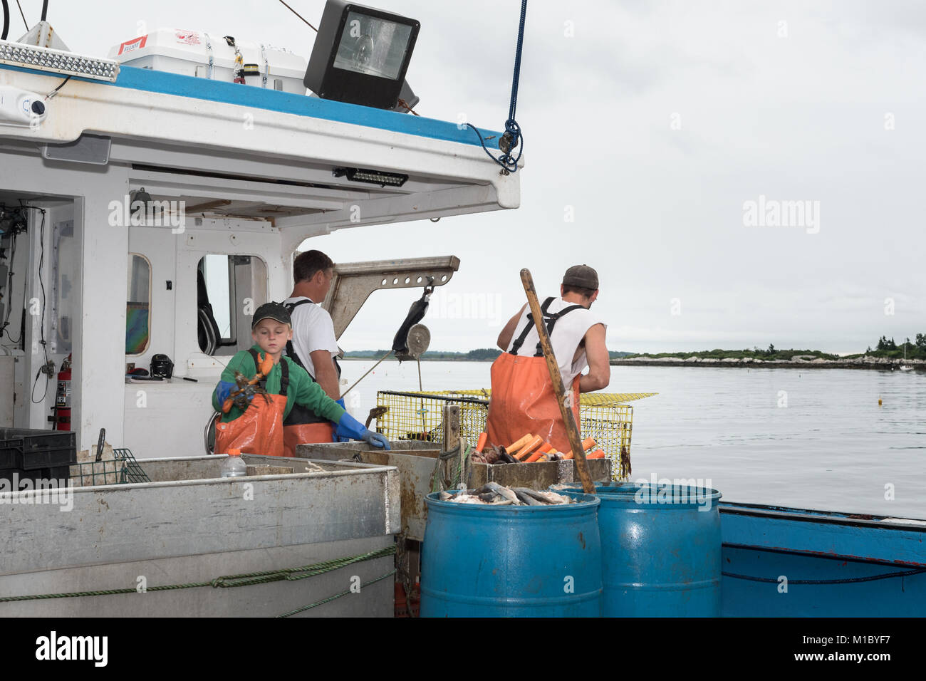 Lobstermen hauling traps. Chebeague Island, Casco Bay, Maine Stock ...