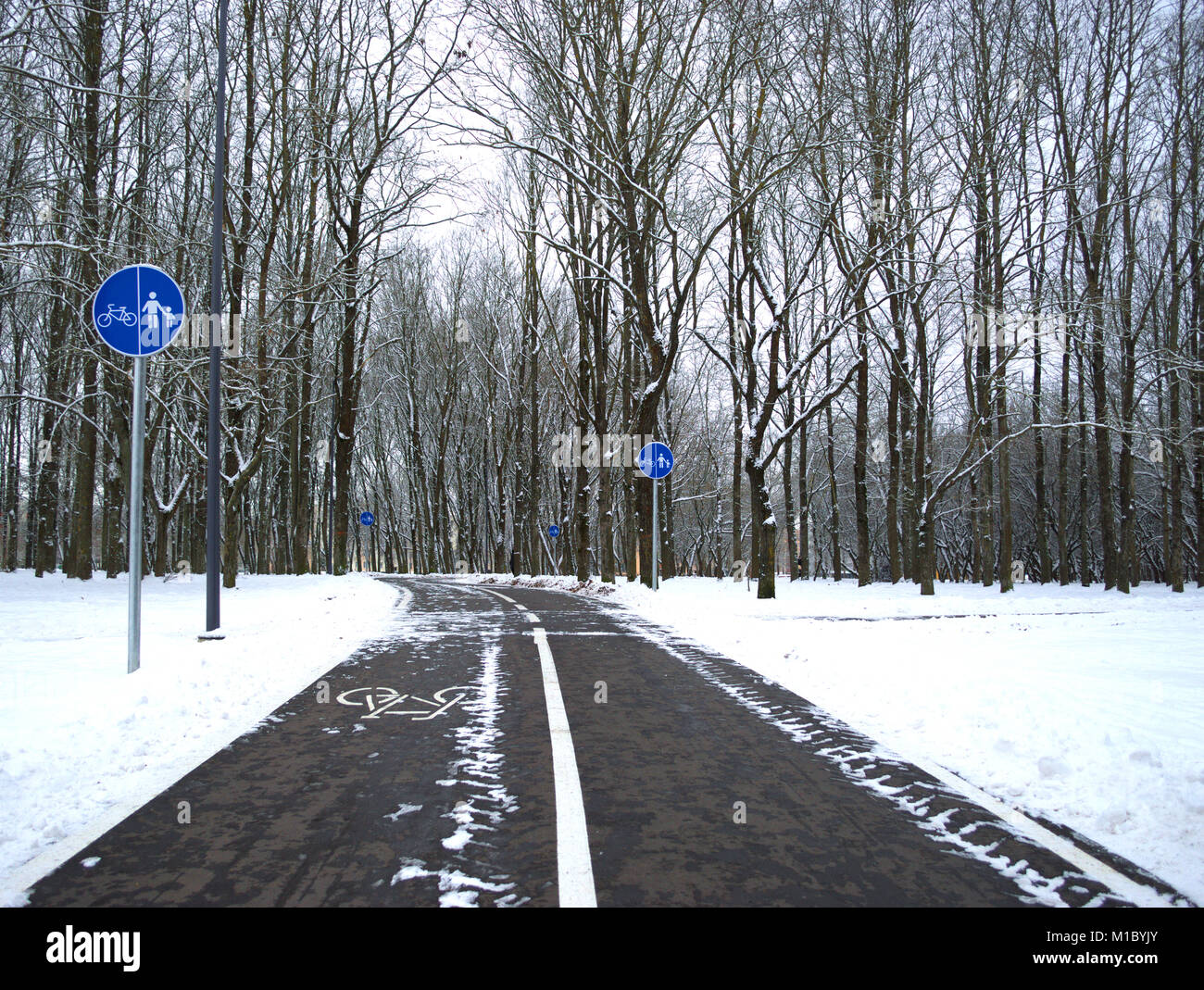 Walking / riding path in the park Stock Photo - Alamy