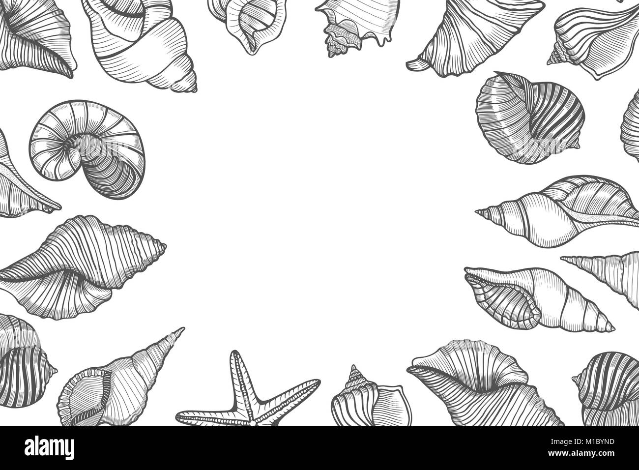 Vintage seafood frame vector illustration. Hand drawn Seashell with ink ...