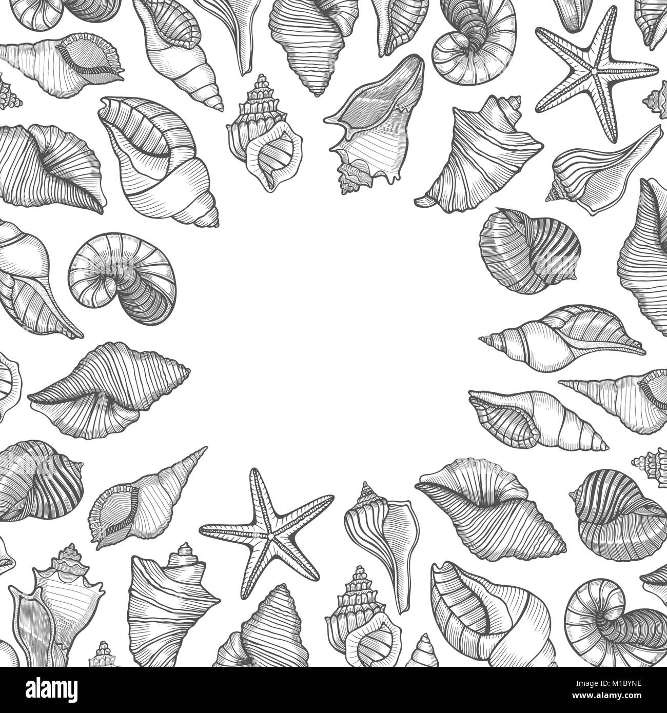 Vintage seafood frame vector illustration. Hand drawn Seashell with ink ...