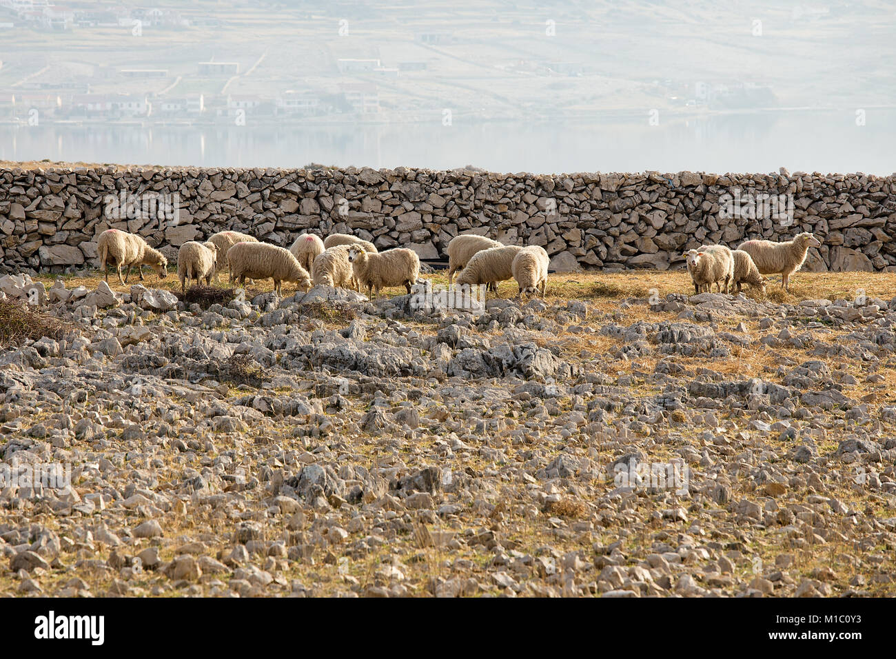 Long range desert group hi-res stock photography and images - Alamy