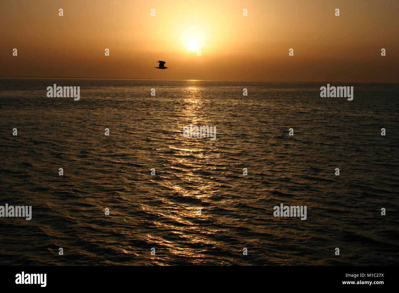 Flying over sunset golden beach hi-res stock photography and images - Alamy