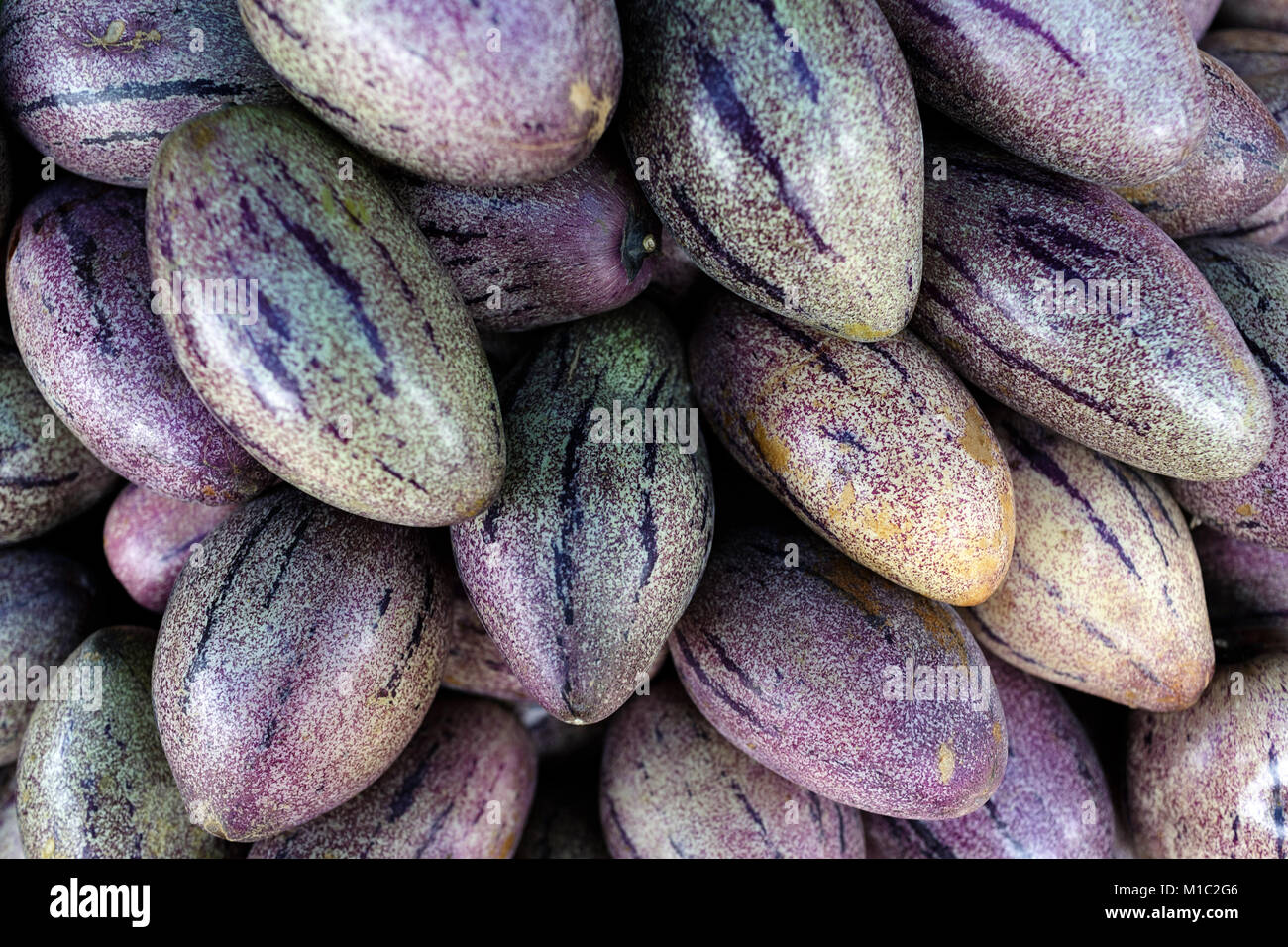 Exotic pepino fruit, Barestagi, sumatra, Indonesia Stock Photo - Alamy