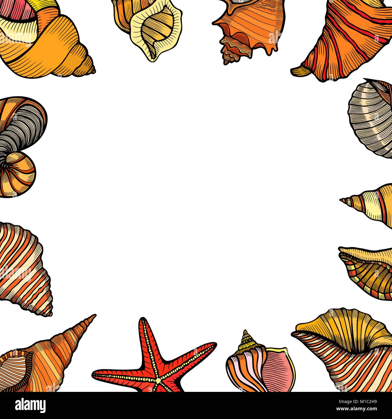 Vintage colored seafood frame vector illustration. Hand drawn Seashell ...