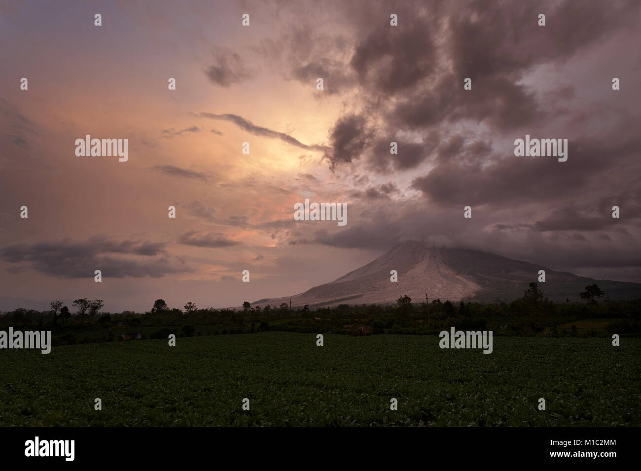 Colourful Sunset over Sinabung volcano in the Karo Highlands of North ...