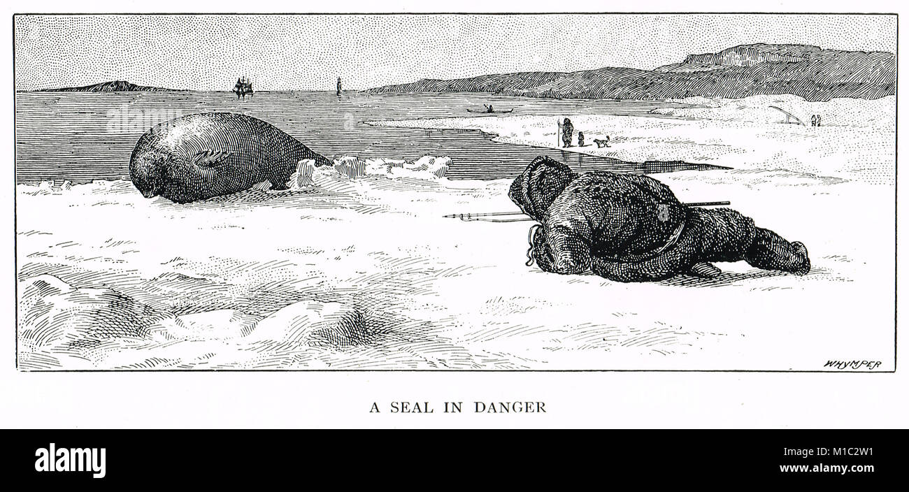 Inuit hunting seal hi-res stock photography and images - Alamy