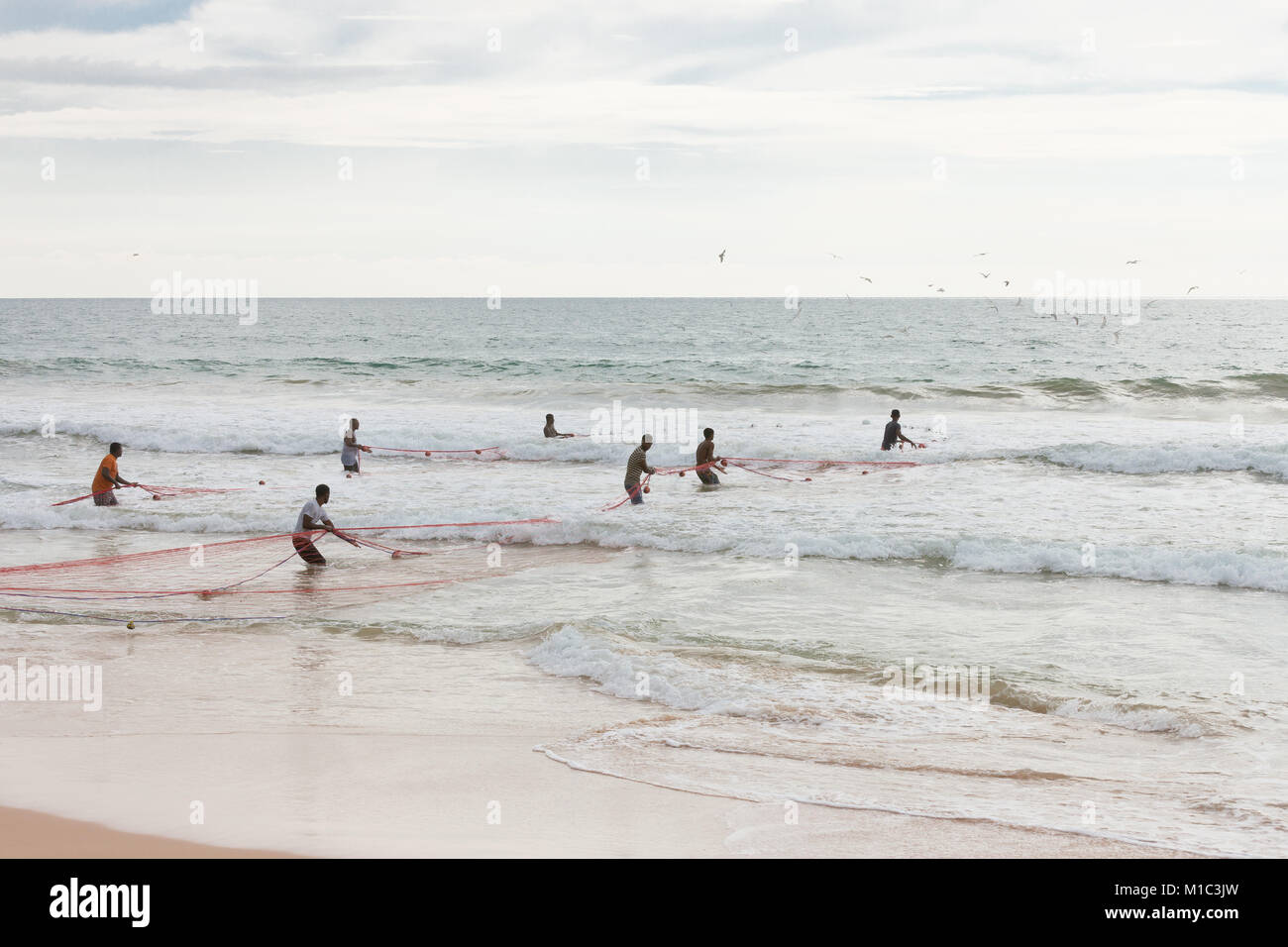 Akurala Beach, Sri Lanka - DECEMBER 2015 - Native fishermen reel in a ...