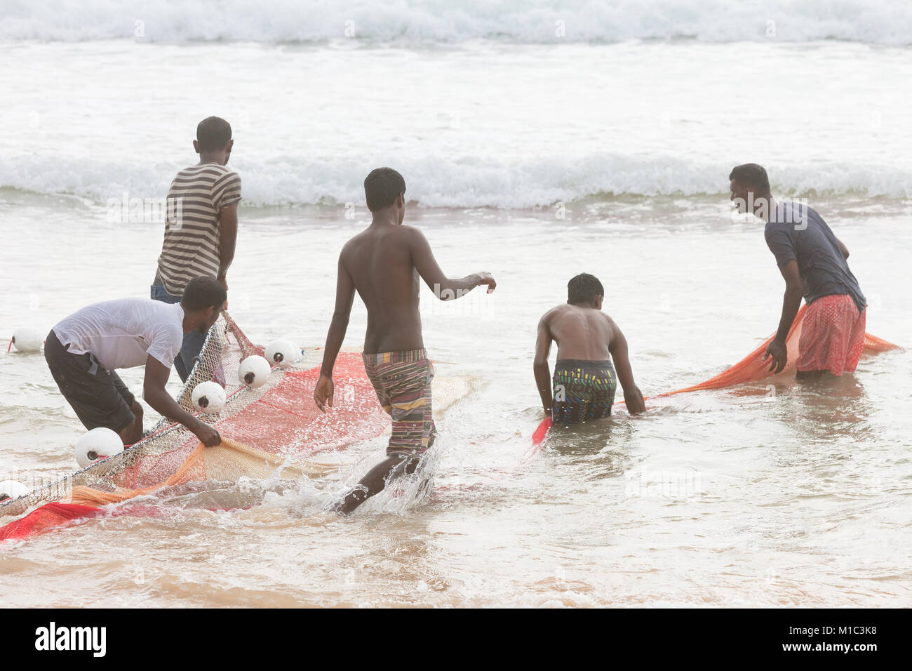Akurala Beach, Sri Lanka - DECEMBER 2015 - Native fishermen reel in a ...