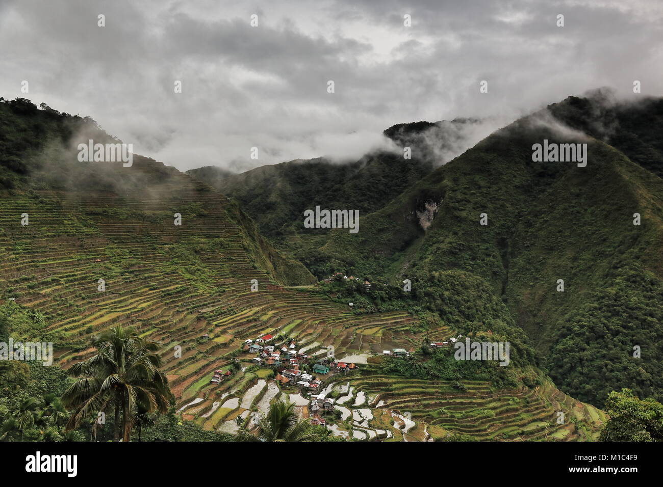 The Batad village cluster-part of the Rice Terraces of the Philippine ...
