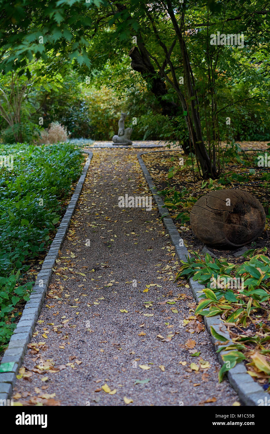 Main walkway of Botanical garden in Europe in autumn Stock Photo - Alamy