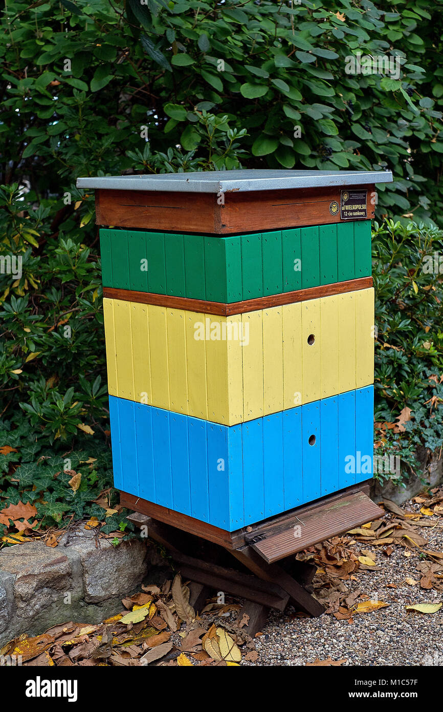 Colorful hive in Botanical garden of Wroclaw, Poland. City landscape ...