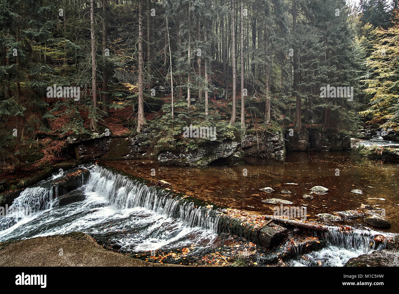 Waterfall in nature pine Scandinavian mountain forest in evening light ...