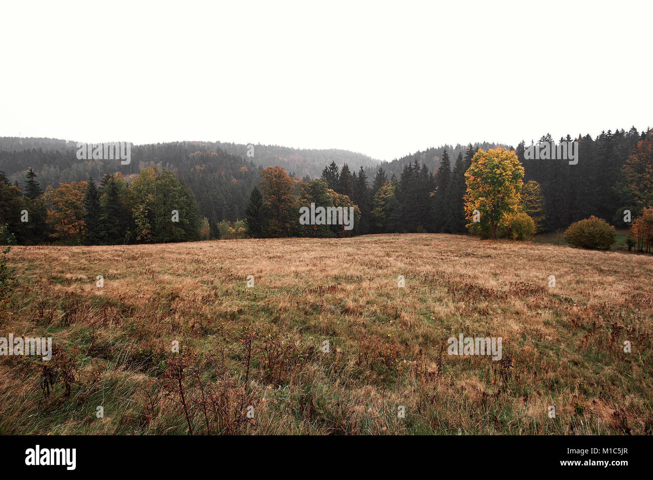 Pale red field hi-res stock photography and images - Alamy