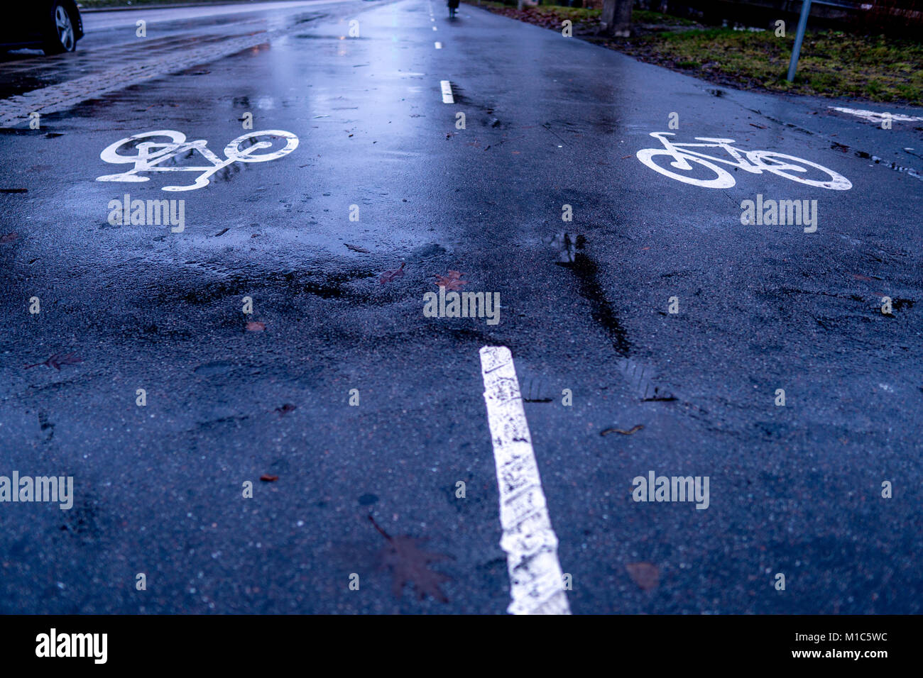 Wet bicycle path ways in a city during twilight with nice reflections ...