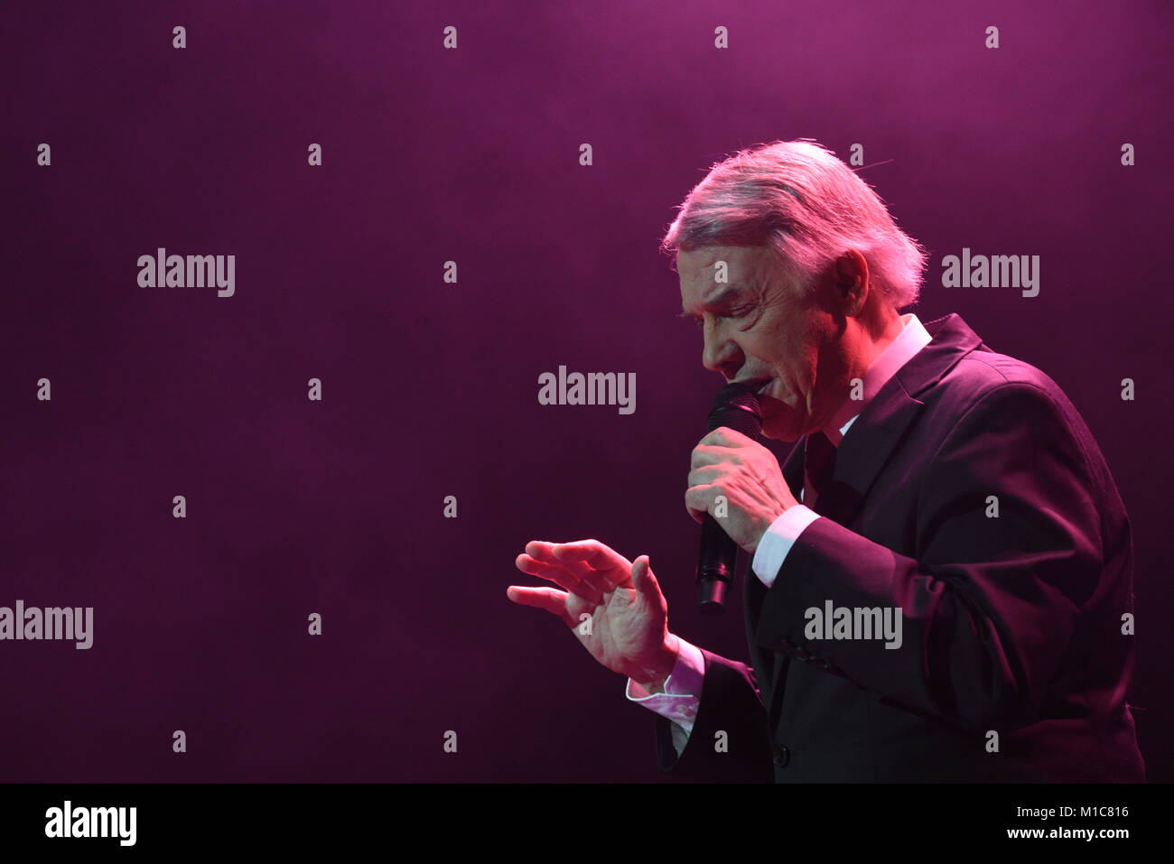 Adamo concert High Resolution Stock Photography and Images - Alamy